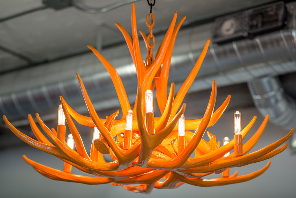 Metal Toad - FFA Architecture and Interiors, Inc.